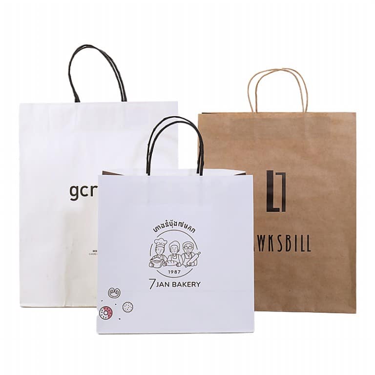 Custom Twisted Handle Carrier Bag - HuaCang Packaging Company
