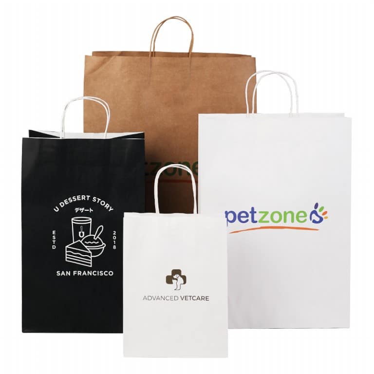 Custom Twisted Handle Carrier Bag - HuaCang Packaging Company