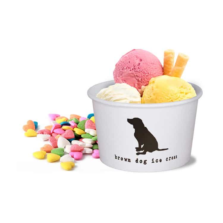 cardboard ice cream containers - HuaCang Packaging Company