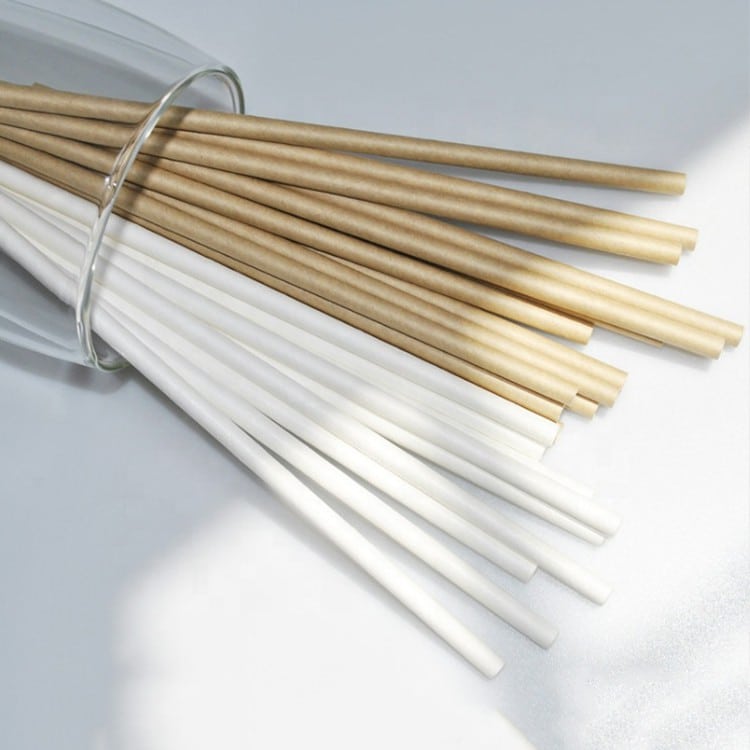 compostable paper straws - HuaCang Packaging Company